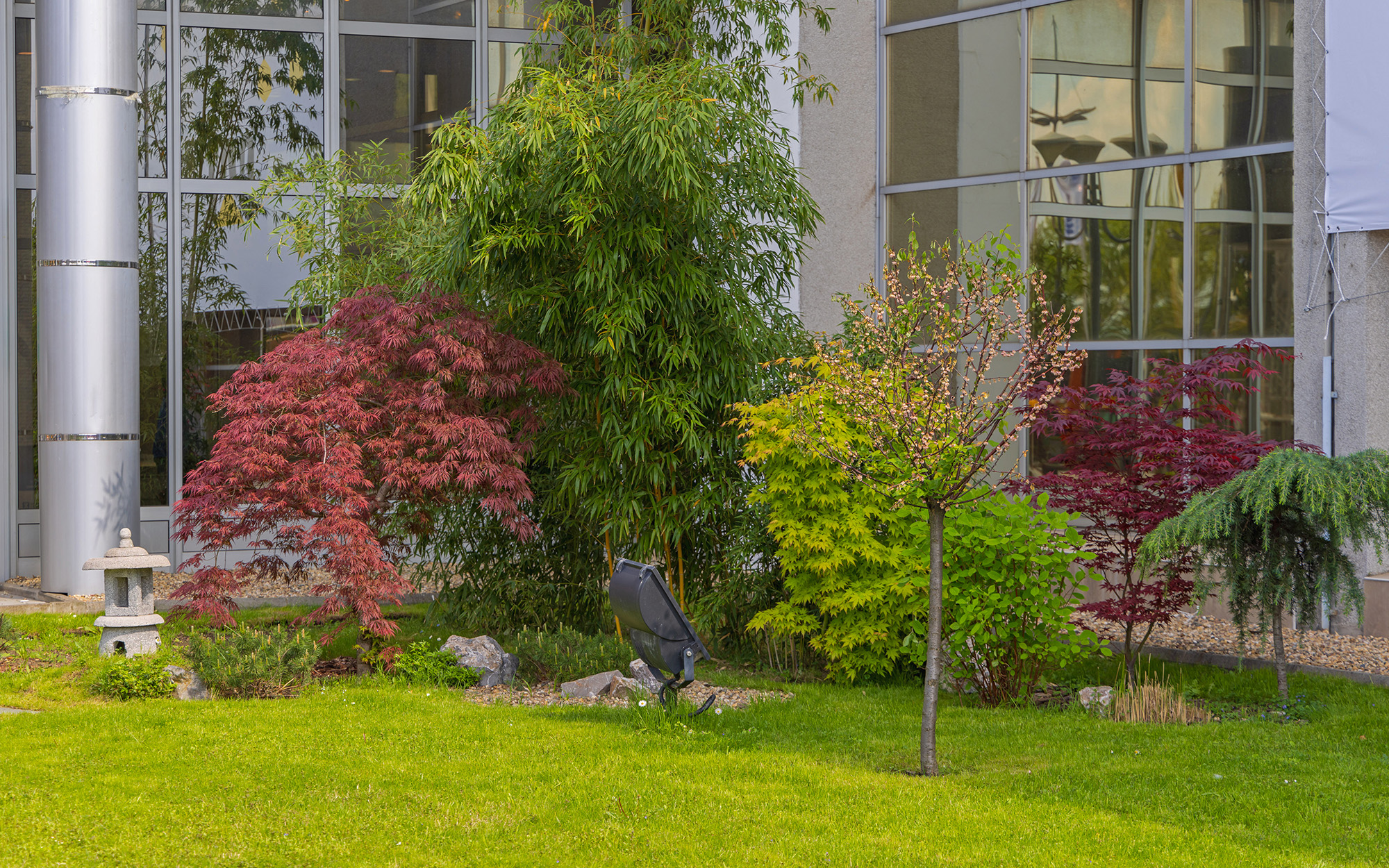 Why to Get Commercial Tree Risk Assessment This Fall | MTS